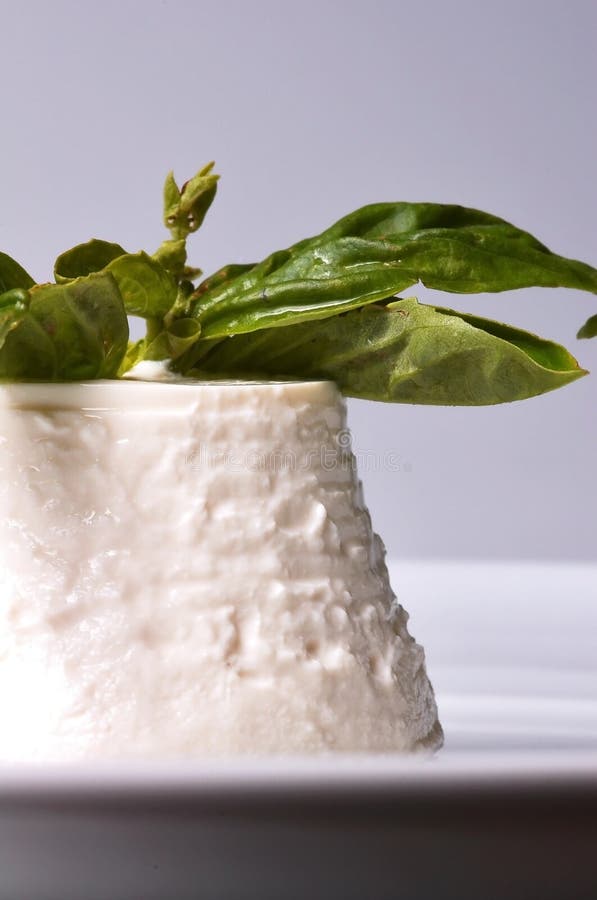Italian cheese ricotta stock image. Image of breakfast - 4213869