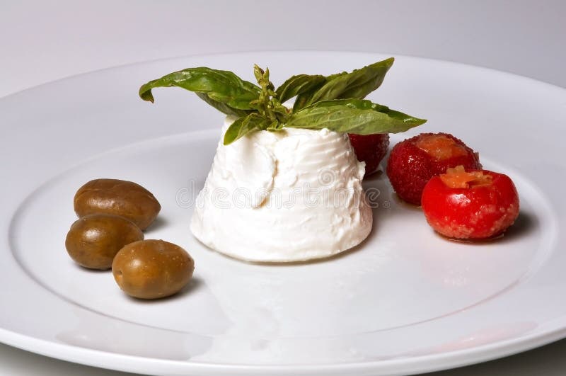 Italian cheese ricotta stock photo. Image of basil, vegetables - 4213878