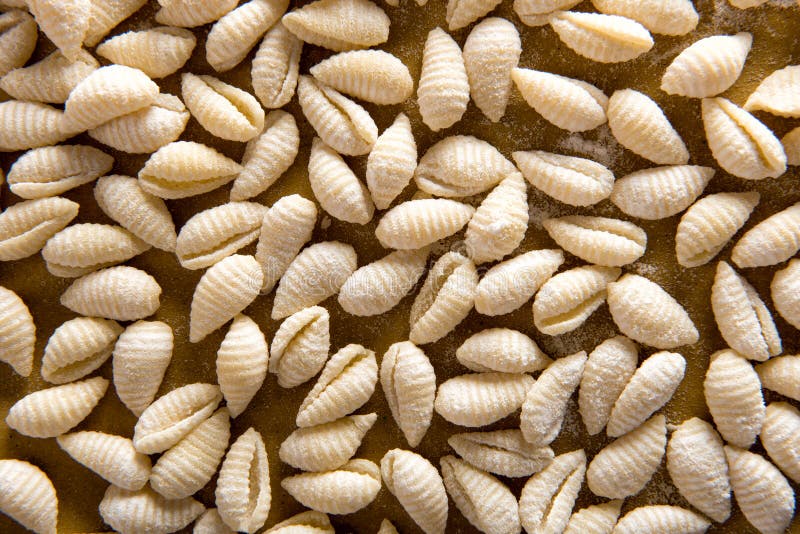 Italian Conchiglie Pasta Shells Stock Image - Image of handmade, shape ...