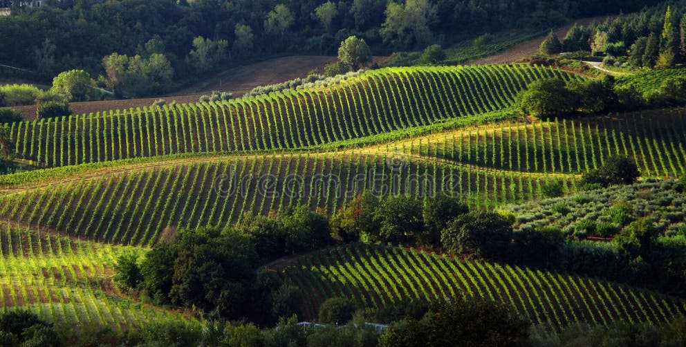 Italian country stock photo. Image of hills, view, landscape - 6512654