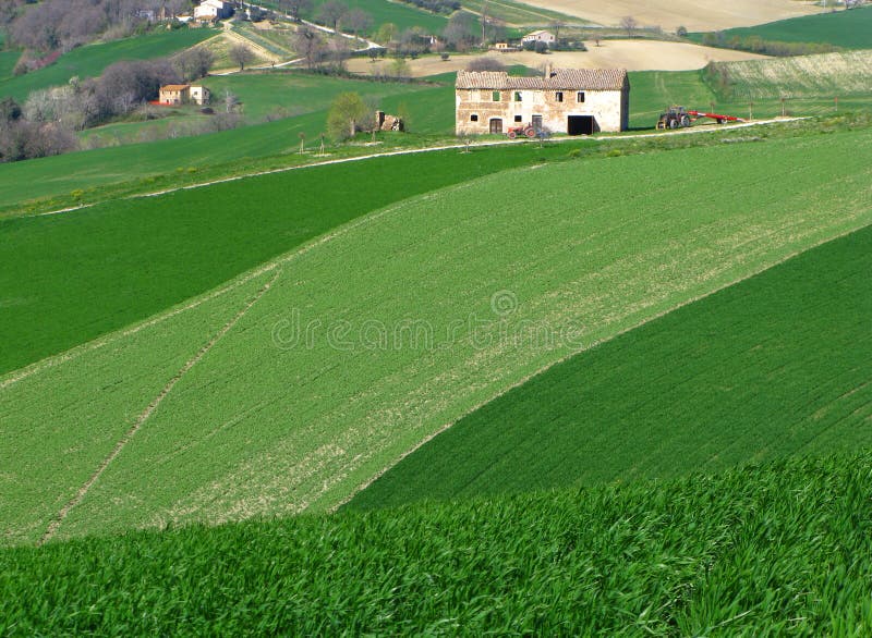 Italian countryside stock photo. Image of landscape, farm - 4738280