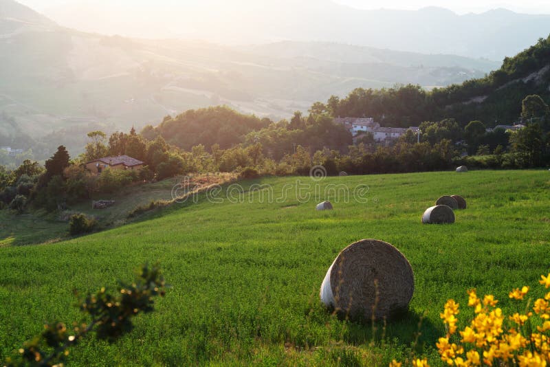 Italian Countryside Landscape Stock Photo - Image of harvest ...