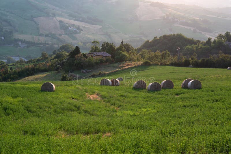 Italian Countryside Landscape Stock Image - Image of italian, meadow ...