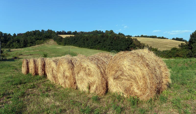 Italian Countryside Landscape in Tuscany Stock Photo - Image of culture ...