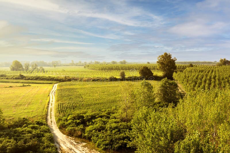 Italian Countryside View on Sunrise Stock Photo - Image of forest ...