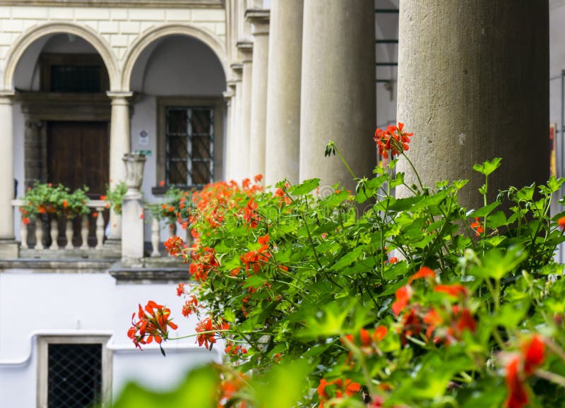 Italian Courtyard with Flowers Stock Photo - Image of courtyard, rustic ...