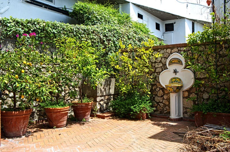Italian courtyard stock photo. Image of plants, ornamental - 52278194