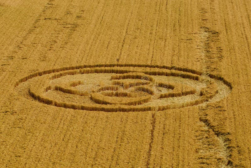 Italian crop circle stock image. Image of wheat, italian - 12163207