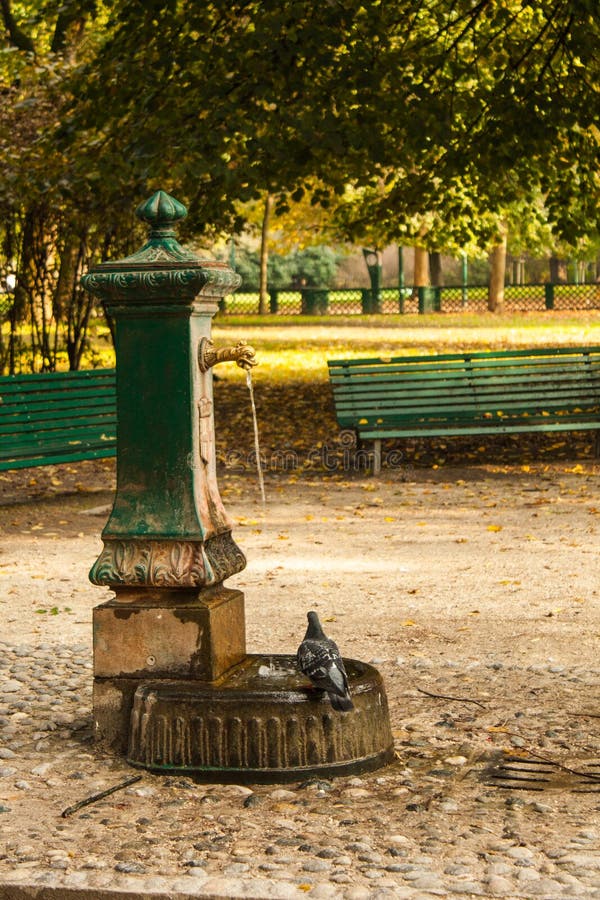 Italian Drinking Well in a Park with Water and Pigeon. Stock Image ...