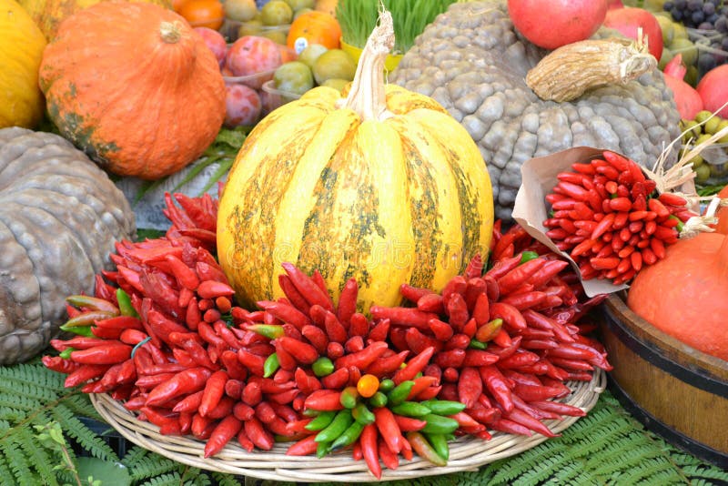 Italian Fall Harvest stock photo. Image of harvest, vegetables - 26089888