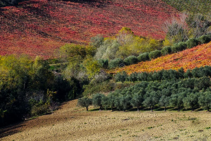 An Italian fall landscape stock photo. Image of fall - 80541738