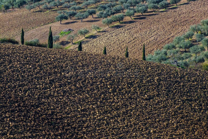 An Italian fall landscape stock image. Image of grapes - 80541981