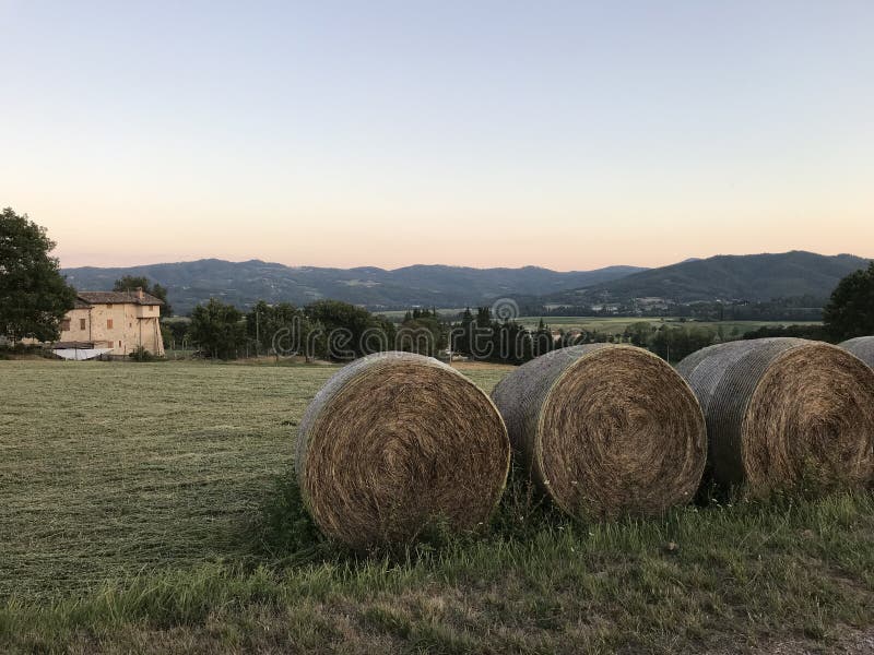 Italian Field in Umbria at Sunset Stock Photo - Image of italian ...