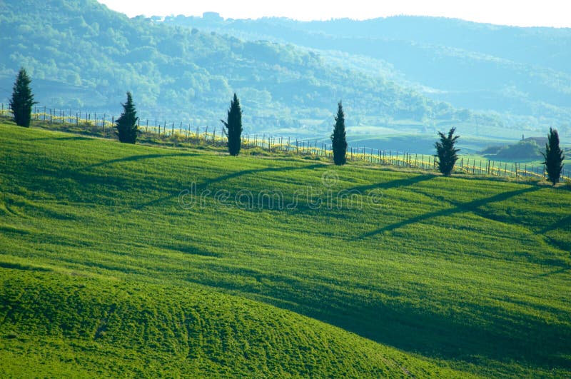 Italian Fields Picture. Image: 2491403