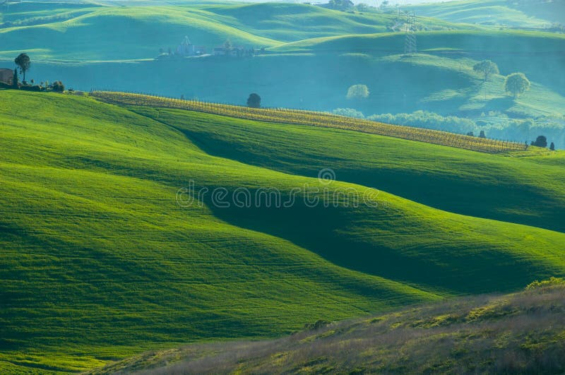 Italian fields stock image. Image of farm, landscape, pasture - 2491435