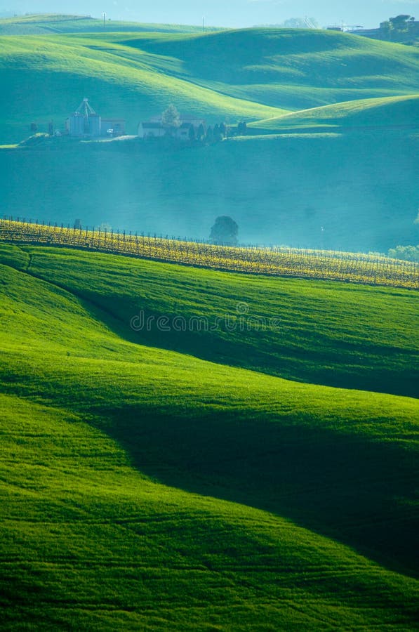 Italian fields stock photo. Image of growing, green, pasture - 2491460