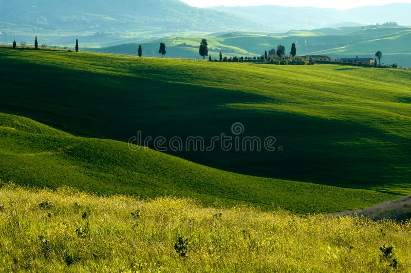 Italian fields stock photo. Image of peaceful, hill, farm - 2491506