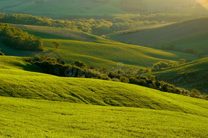 Italian fields stock photo. Image of hill, europe, calm - 2491582