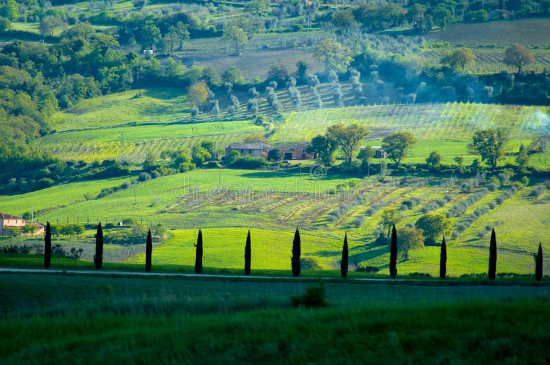 Italian fields stock photo. Image of pleasant, serenity - 5139766