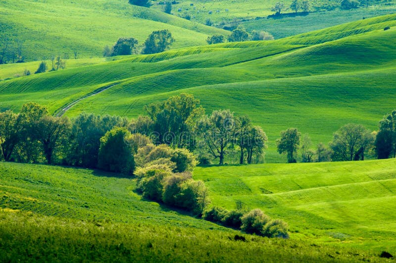 Italian fields stock image. Image of italy, grassland - 5139863