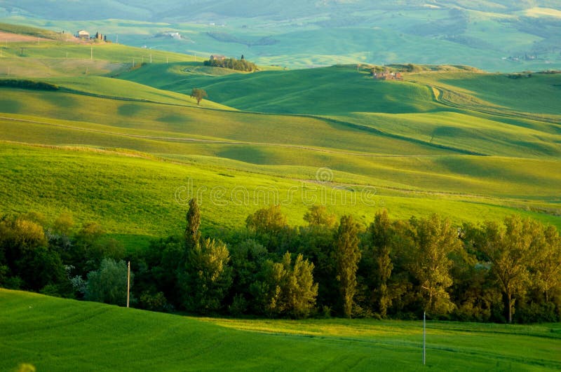 Italian fields stock photo. Image of field, hill, pastoral - 5190268