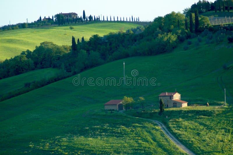 Italian fields stock image. Image of landscape, field - 5196423