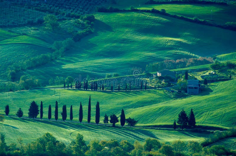 Italian fields stock photo. Image of italy, crop, meadow - 5196436