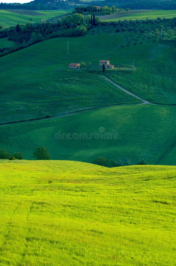 Italian fields stock photo. Image of italia, hill, rural - 5196442