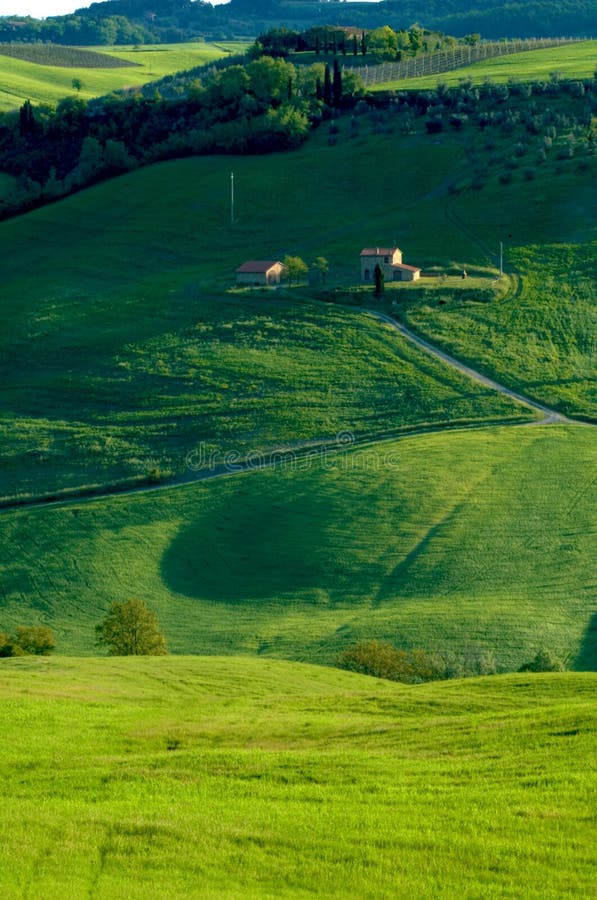 Italian fields stock photo. Image of pleasant, hilly, green - 2491470