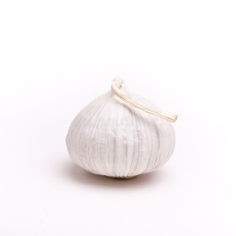 Italian Garlic stock image. Image of bulb, fresh, gourmet - 11594215