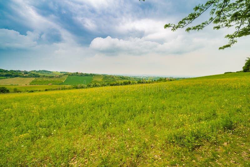 Italian hilly countryside stock photo. Image of scenic - 92100512