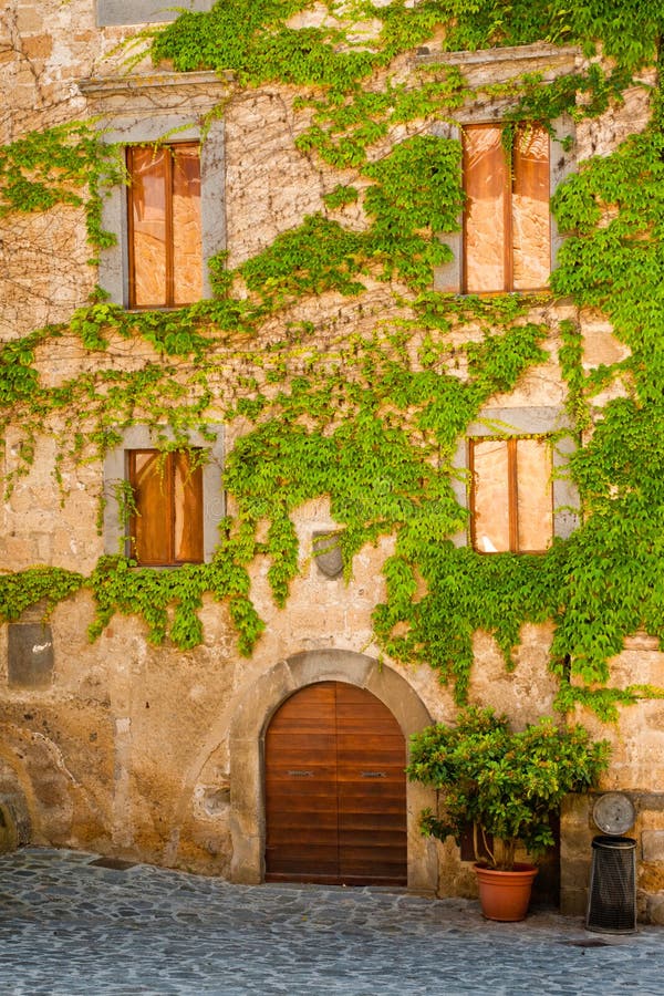 Italian Home with Vine Covered Front Stock Photo - Image of vines, arch ...