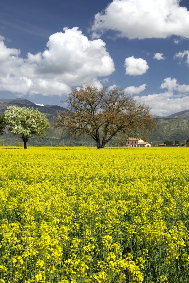 Italian Landscape in Spring Stock Image - Image of green, landscape ...