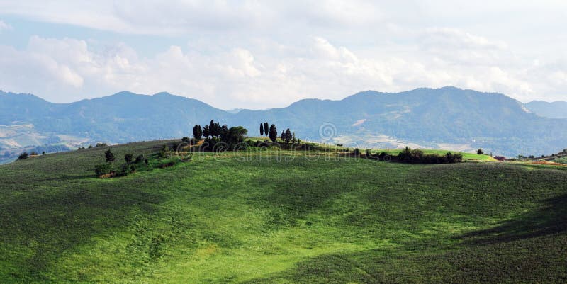 Italian Landscape in Tuscany Stock Image - Image of traditional, italy ...