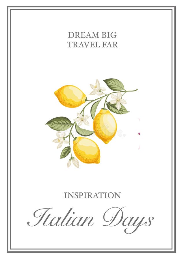 Italian Lemon Poster. Citrus Wall Art. Stock Vector - Illustration of ...