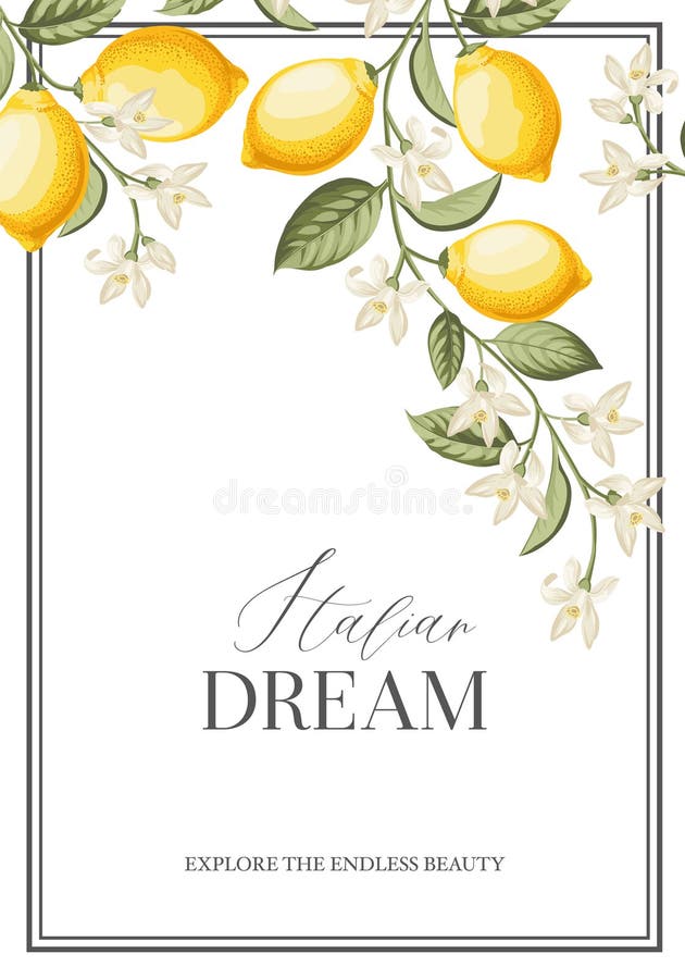 Italian Lemon Poster. Citrus Wall Art. Stock Vector - Illustration of ...