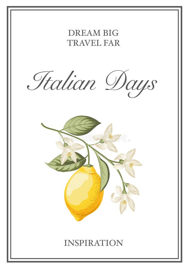 Italian Lemon Poster. Citrus Wall Art. Stock Vector - Illustration of ...