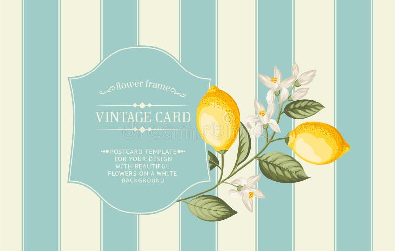 Italian Lemon Poster. Citrus Wall Art. Stock Vector - Illustration of ...