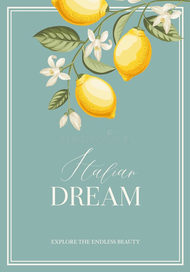 Italian Lemon Poster. Citrus Wall Art. Stock Vector - Illustration of ...