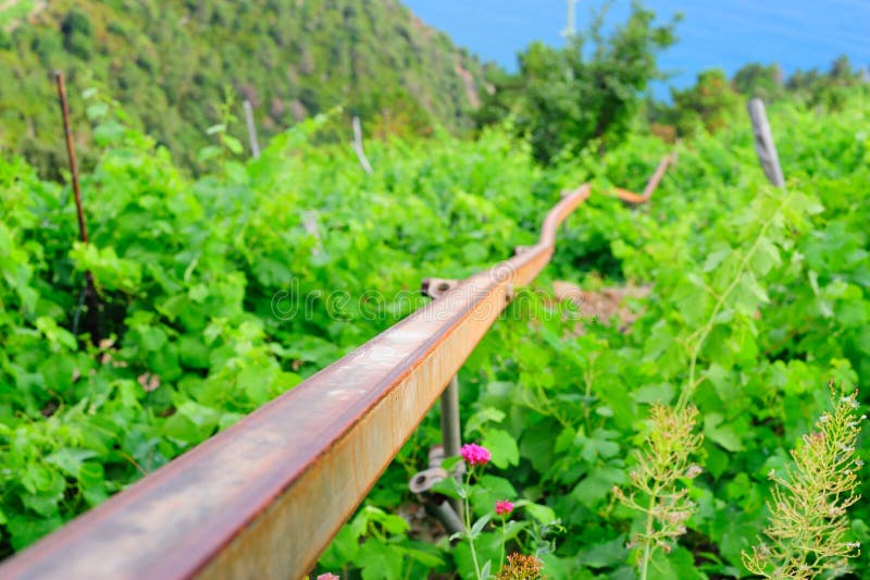 Italian Mechanical Vineyard Contrivance Stock Photos - Free & Royalty ...