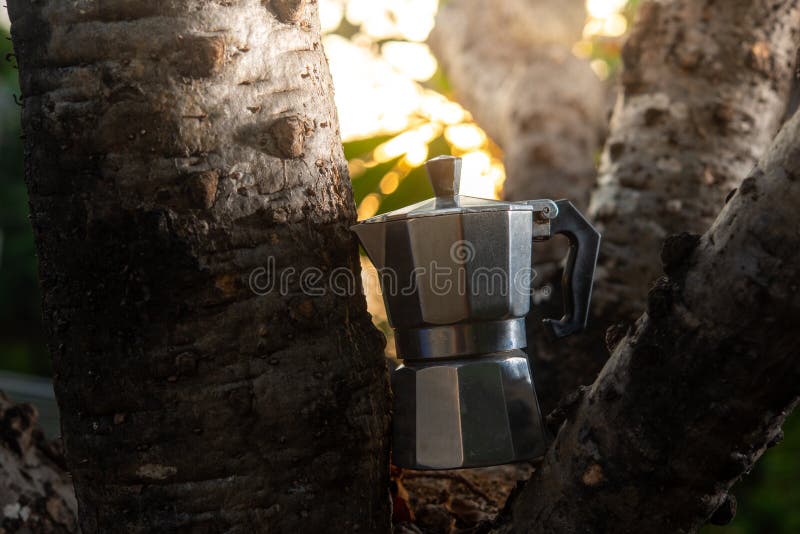 Italian Moka Pot Leaves Italian Moka Pot Leaves Italian MokItalian Moka ...