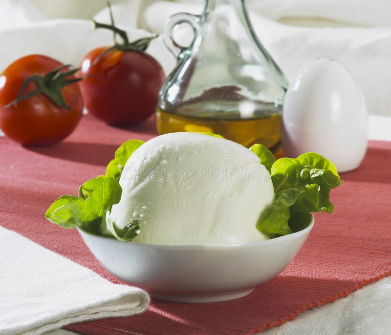 Italian mozzarella cheese stock photo. Image of italy - 14780856