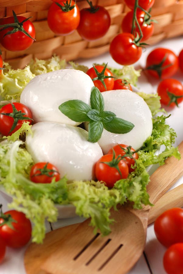 Italian mozzarella cheese stock image. Image of green - 34761719