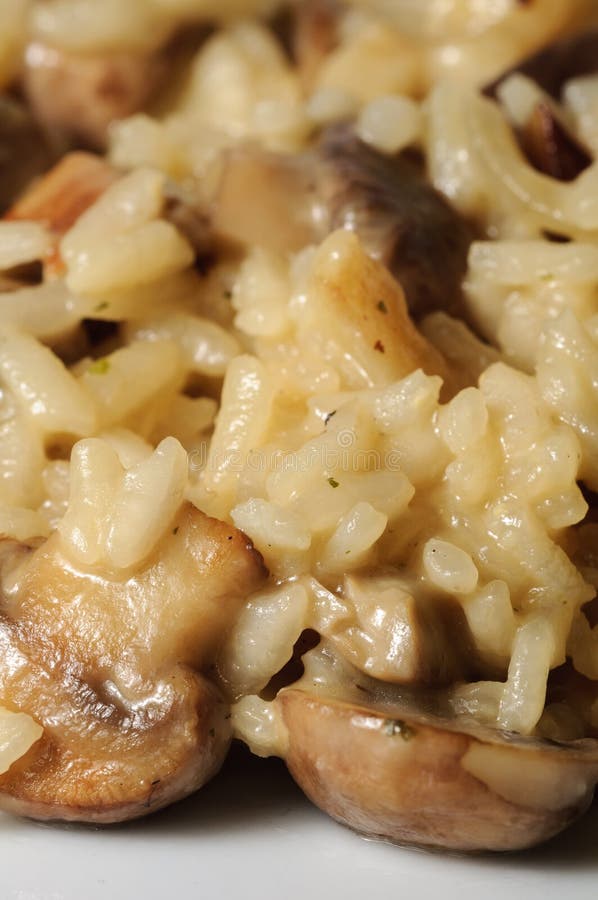 Italian Mushroom Risotto stock photo. Image of mushroom - 28000226