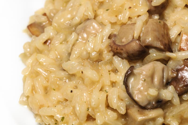 Italian Mushroom Risotto stock photo. Image of common - 28000296