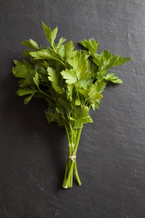 Italian Parsley stock image. Image of people, ingredient - 35895069