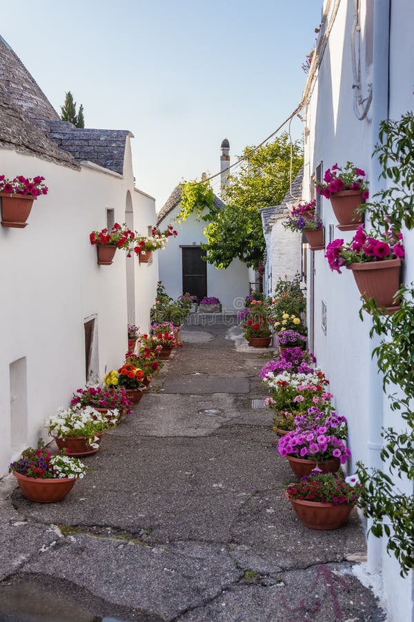 Italian pathway stock photo. Image of italian, alley - 30381058