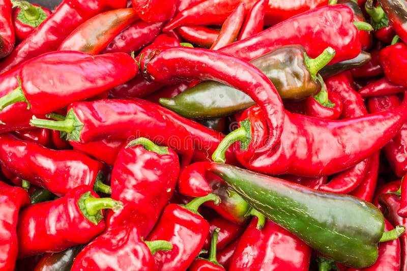 Sweet Italian Pepper, Capsicum Annuum Stock Photo - Image of conical ...