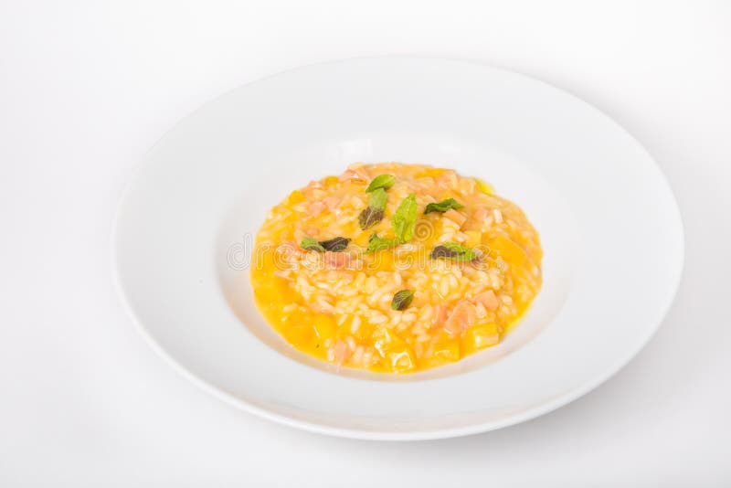 Italian rice with salmon stock photo. Image of parmesan - 73592836