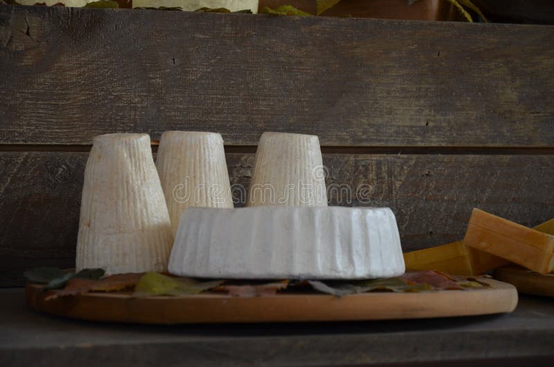 The Italian ricotta cheese stock photo. Image of delicacy - 146290790